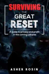 surviving the great reset: a guide to privacy and profit in the coming collapse