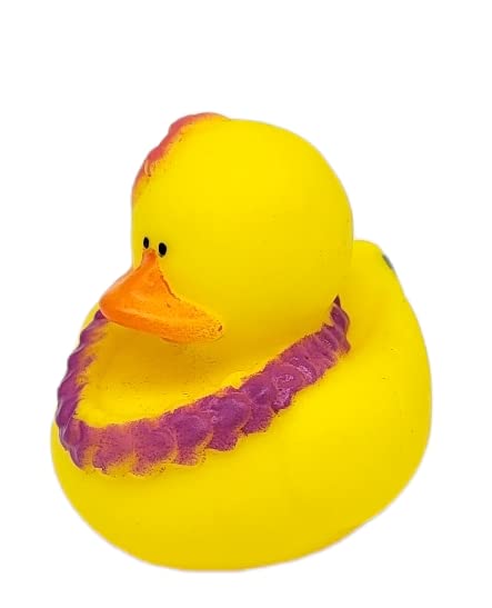 Cool Rubber Ducks (2") Standard Size. (12 Pack) Cute Duck Bath Tub Pool Toys. (Luau Rubber Duckies)