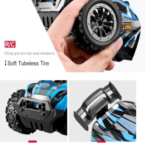 NiGHT LiONS TECH RC Cars for Kids 2WD Remote Control Car 2 Batteries Alloy Monster Trucks 60Mins Play Time Electric Toy Off-Road Crawler Gift for Boys and Girls