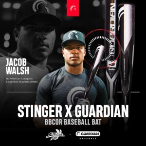 Guardian X Stinger BBCOR Baseball Bat - 3 Drop - 2 5/8" Barrel - Available in 31” to 34” - Drop 3 Baseball Bat for Middle School, High School, or College - 32" - 29 oz - Black/Gray