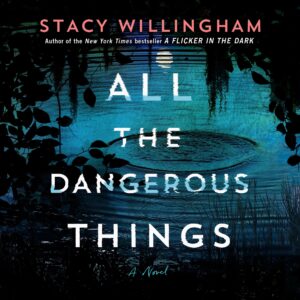 all the dangerous things: a novel