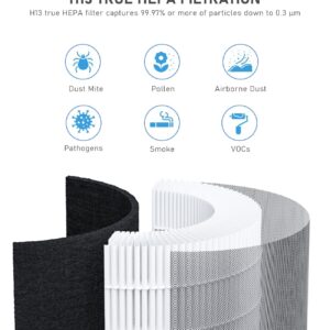 WeGuard HEPA Replacement Filters Compatible with WeGuard K300 Air Purifier, 3-in-1 Filtration System, H13 Grade True HEPA and Activated Carbon Filter Set