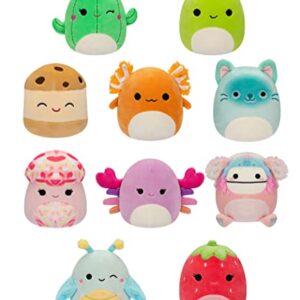 Squishmallows 5-Inch 10-Pack Plush - Diane Bigfoot, Giles Grasshopper, Maritza Cactus, Nico Axolotl, Rachel Mushroom, and More - Ultrasoft Official Kelly Toy Plush - Amazon Exclusive