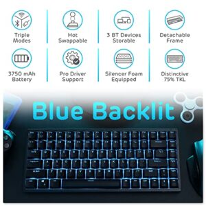 RK ROYAL KLUDGE RK84 Wireless Blue Backlit 75% Triple Mode BT5.0/2.4G/USB-C Hot Swappable Mechanical Keyboard, 84 Keys Tenkeyless Mechanical Keyboard w/Programmable Software, Brown Switch