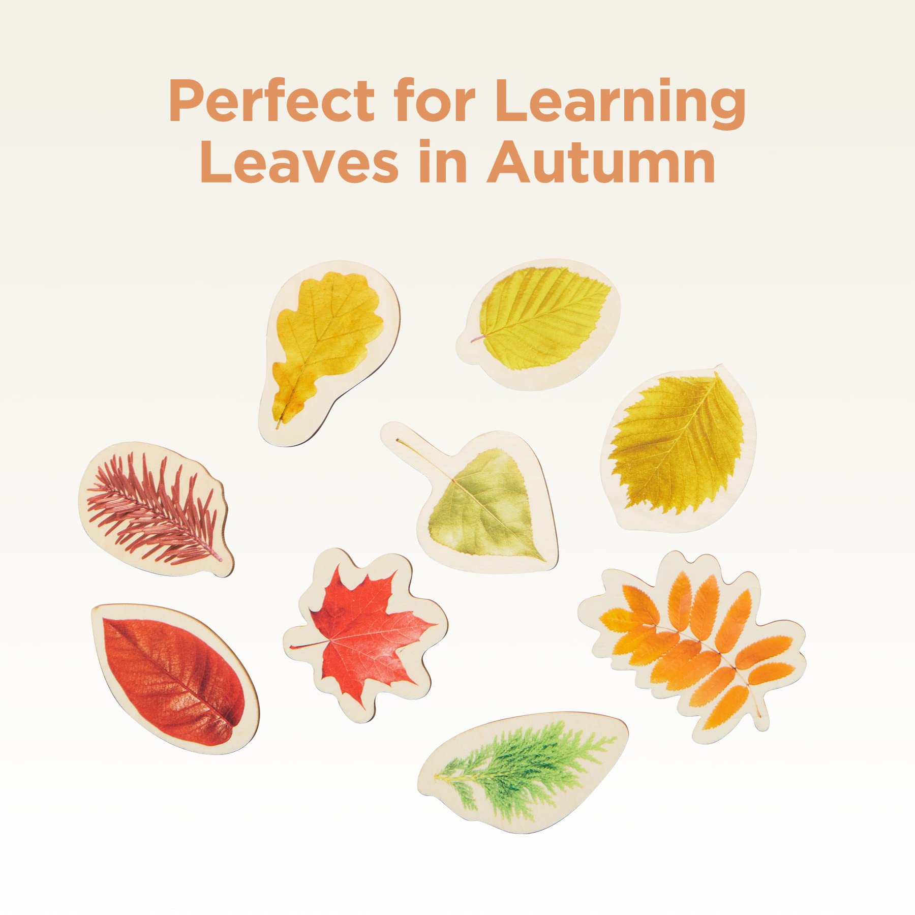 Asweets Leaf Wooden Jigsaw Puzzles Educational Learning Leaf Puzzle Montessori Toy Boys Girls Birthday Gift Colorful Shape for Thanksgiving Day