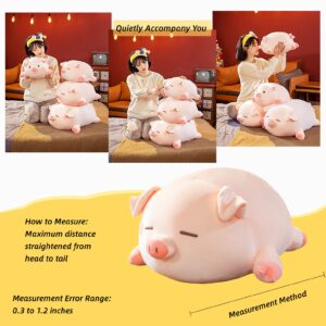 CHDGIOHA Cute Kawaii Pig Stuffed Animal Pillows, 15.7'' Pig Plush Hugging Pillow, Soft Pig Stuffed Cuddle Plush Toys, Christmas Birthday Gifts for Girls Girlfriend (Squint, 15.7in)