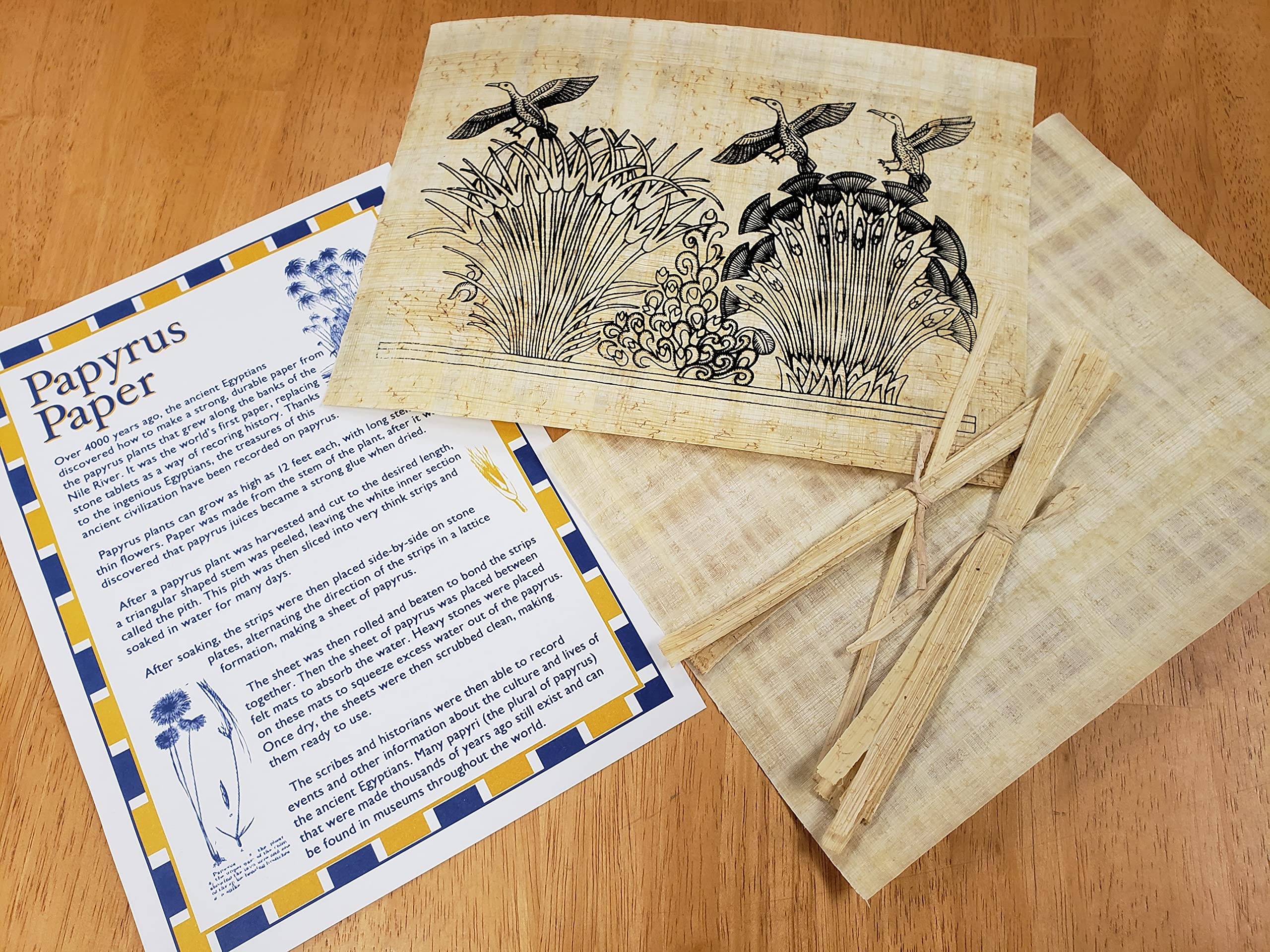 Discoveries Egyptian Imports Papyrus Activity Kit - Educational Papyrus Paper Craft Kit - Made in Egypt