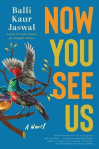 now you see us: a novel