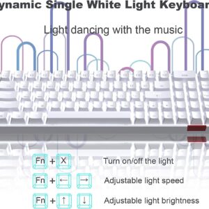 A.JAZZ AK692 Compact Hot-Swappable Wireless Number Pad Mechanical Gaming Keyboard 5.0 Bluetooth Type C Wired Mode 4000 mAh Rechargable Light up for Mac Laptop IP ad PC Phone PS4 Gamer Office - White