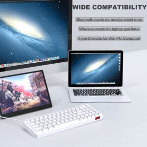 A.JAZZ AK692 Compact Hot-Swappable Wireless Number Pad Mechanical Gaming Keyboard 5.0 Bluetooth Type C Wired Mode 4000 mAh Rechargable Light up for Mac Laptop IP ad PC Phone PS4 Gamer Office - White