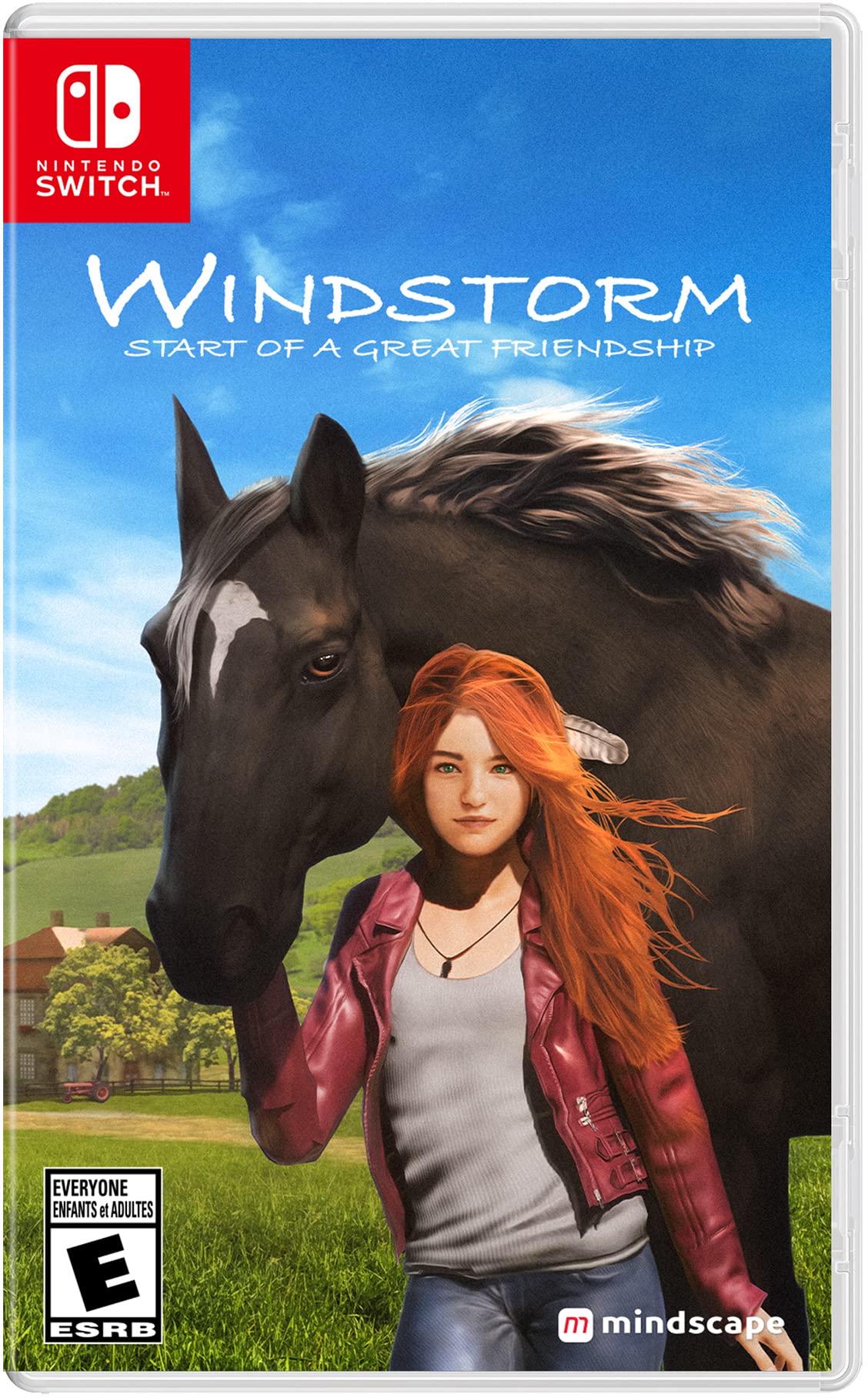 Windstorm: Start of a Great Friendship Nintendo Switch