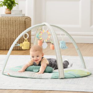 Skip Hop Garden Oasis Activity Gym & Infant Toy Bundle Gift Set