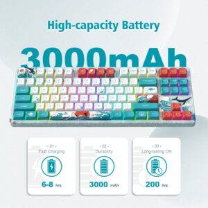 Womier M87 TKL Mechanical Keyboard, Hot Swappable Wireless Gaming Keyboard 87 Keys, RGB Backlit Custom Keyboard Onboard Memory for Windows Mac PC Gamer (Coral Sea, Gateron Red Switch)