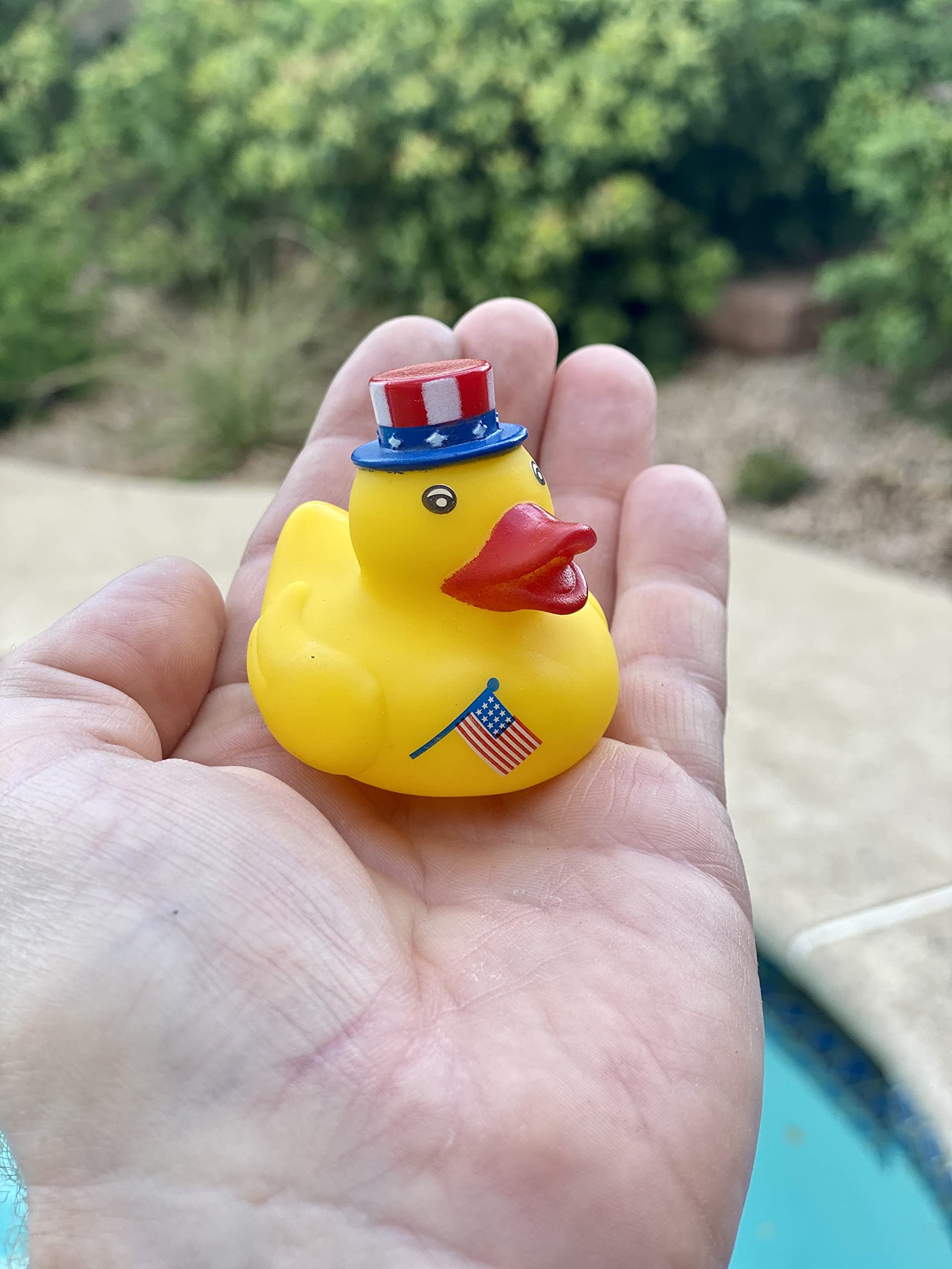 Bulk 20 Pack Patriotic Rubber Ducky Assortment - Perfect for Memorial Day, 4th of July, Labor Day or Veteran's Day