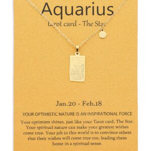 TGOLM 14k Gold Plated Aquarius Necklace Star Tarot Card Constellation Jewelry Birthday Gift for Women