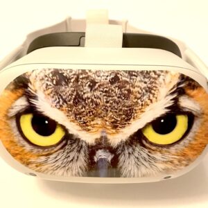 Owl Decal for Meta/Oculus Quest 2 VR Headset - Glossy Vinyl Sticker