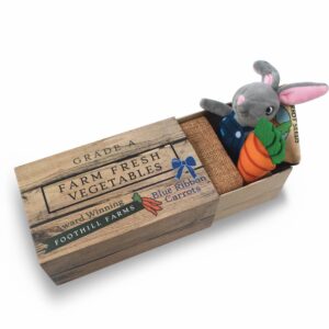 foothill toy co. animals in boxes - 'hopper the garden rabbit' playset with stuffed bunny in a vegetable crate bed