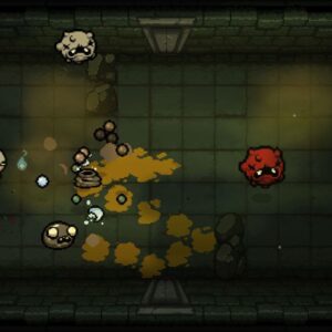 The Binding of Isaac: Repentance(ザ バインディング オブ アイザック リペンタンス) -PS4