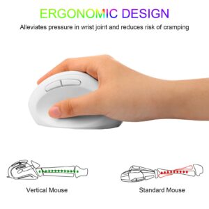 CHUYI Ergonomic Wireless Mouse, Vertical Rechargeable Wireless Mouse, 400mAh 800/1200/1600 DPI Portable Optical Cordless Mouse for PC Computer Laptop Office for Small Middle Right Hand (White)