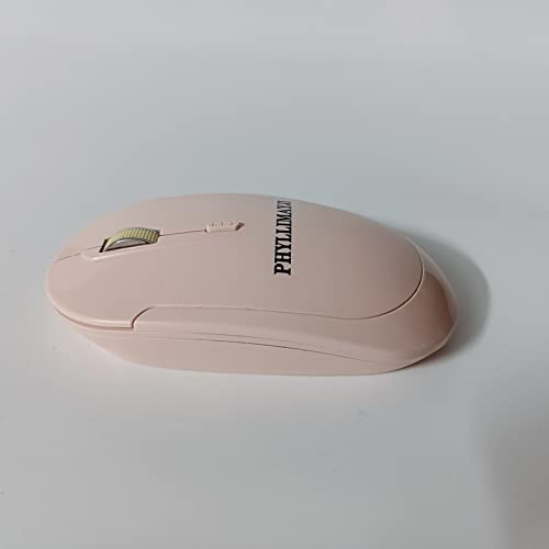 PHYLLIMAYJI Wireless computer peripherals,Computer Wireless Mouse, 2.4G Noiseless Portable USB Mouse Ergonomic Mouse.