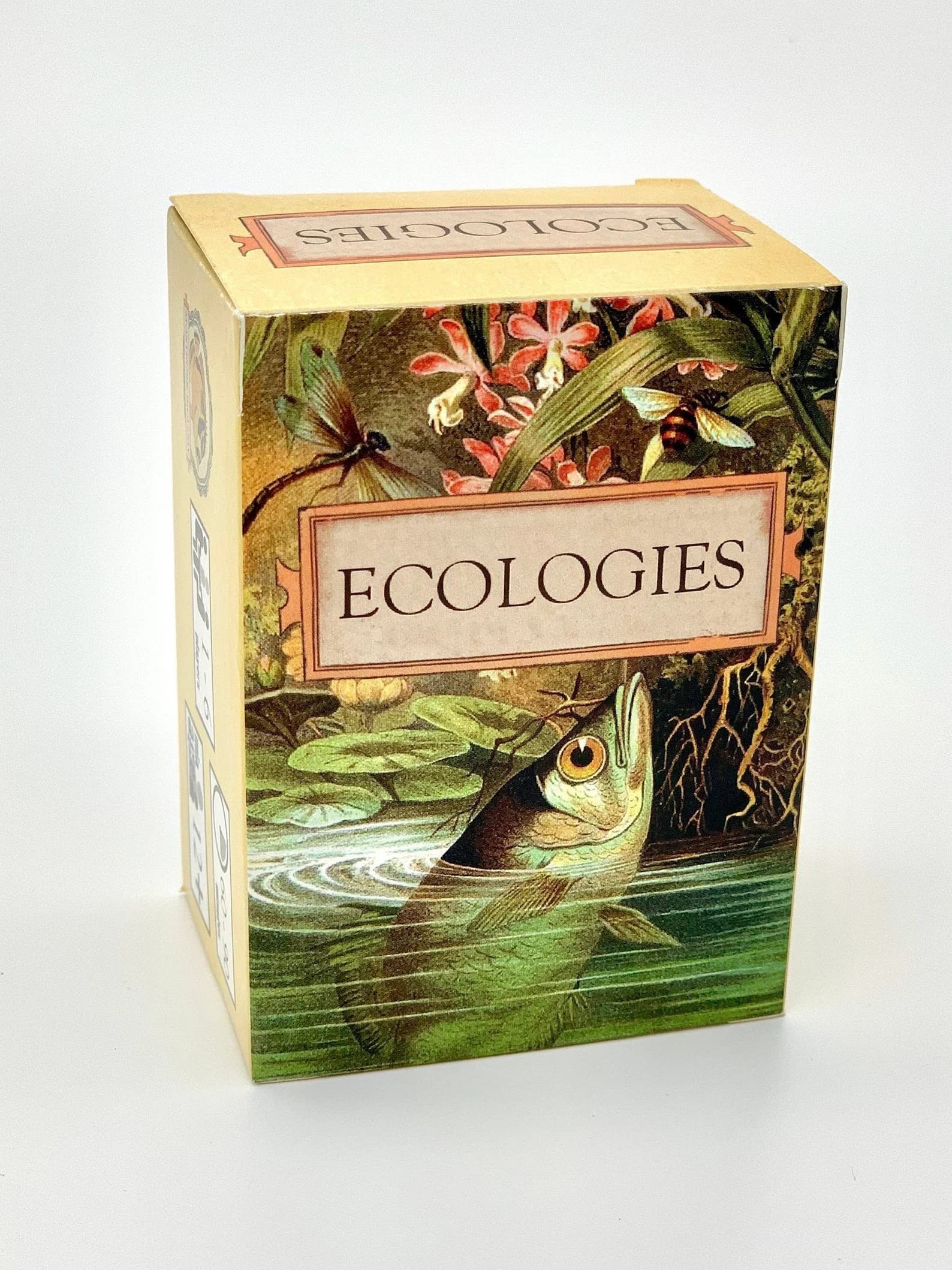 Montrose Biology Ecologies Card Game - Use Science to Build Food Webs in 7 Biomes - Beautiful Vintage Nature Art for The Classroom or Game Night