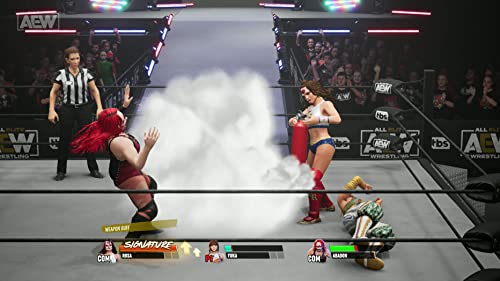 AEW: Fight Forever - PlayStation 4