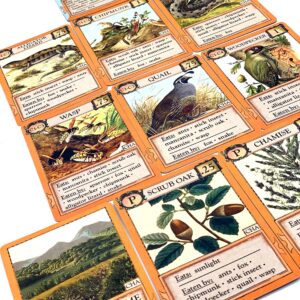 Montrose Biology Ecologies: Bizarre Biomes - Use Science to Build Food Webs in 7 Biomes - Beautiful Vintage Nature Art for The Classroom or Game Night