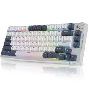 rk royal kludge h81 hot swappable mechanical keyboard, triple mode 2.4ghz/bt5.1/usb-c knob control wireless gaming keyboard gasket mounted with rgb backlit skycyan switch, 75% layout 81 keys, white