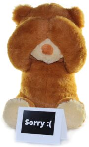 cutest i'm sorry gift for her & him - the i'm sorry teddies - embarrassed adorable super soft stuffed animal plush toy - unique cute forgive me apology teddy bear gift for kids and adults - brown