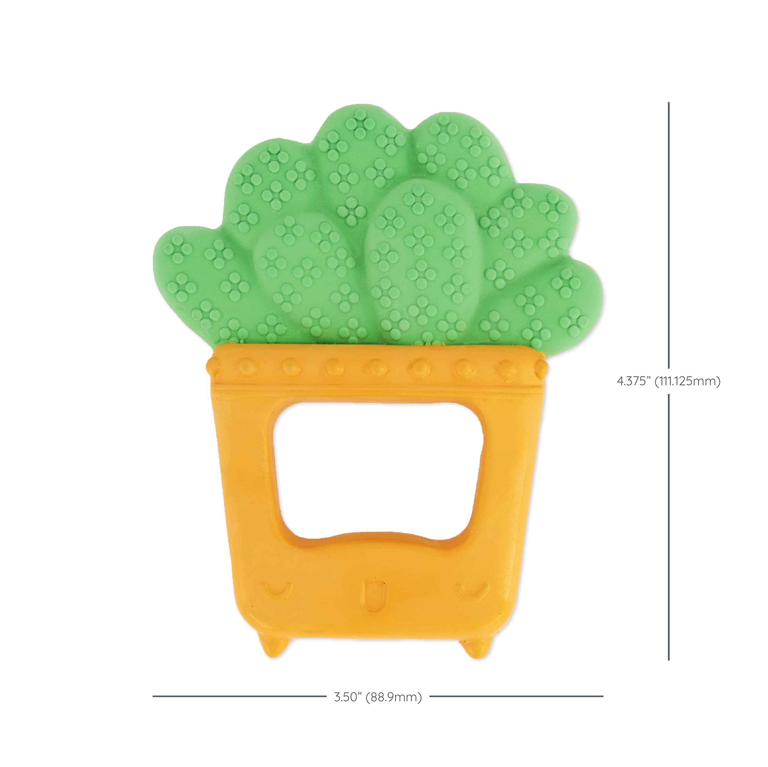 Infantino Squeeze & Teethe Succulent - Soft, Easy to Hold, BPA-Free, Natural Rubber Textured Teether for Babies 0M+