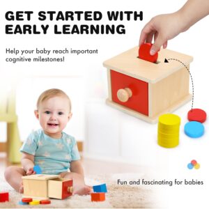 TOY Life Montessori Coin Box Toys Object Permanence Toys for Babies Toddlers Montessori Toys for 1+ Year Old Wooden Montessori Ball Drop Toys Developmental Toys for 2+ Year Old Imbucare Learning Box