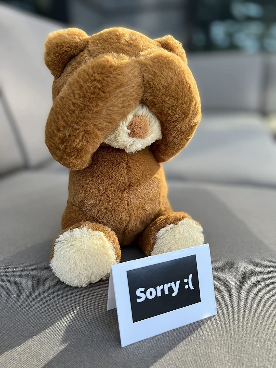 Cutest I'm Sorry Gift for Her & Him - The I'm Sorry Teddies - Embarrassed Adorable Super Soft Stuffed Animal Plush Toy - Unique Cute Forgive Me Apology Teddy Bear Gift for Kids and Adults - Brown