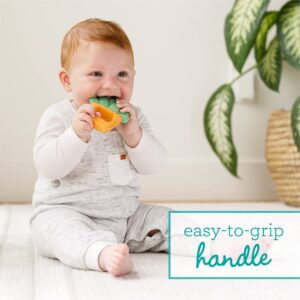 Infantino Squeeze & Teethe Succulent - Soft, Easy to Hold, BPA-Free, Natural Rubber Textured Teether for Babies 0M+