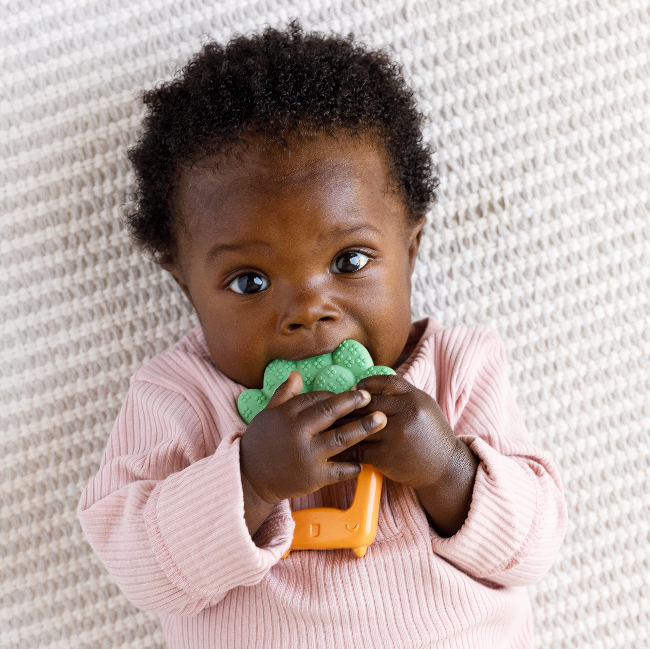 Infantino Squeeze & Teethe Succulent - Soft, Easy to Hold, BPA-Free, Natural Rubber Textured Teether for Babies 0M+