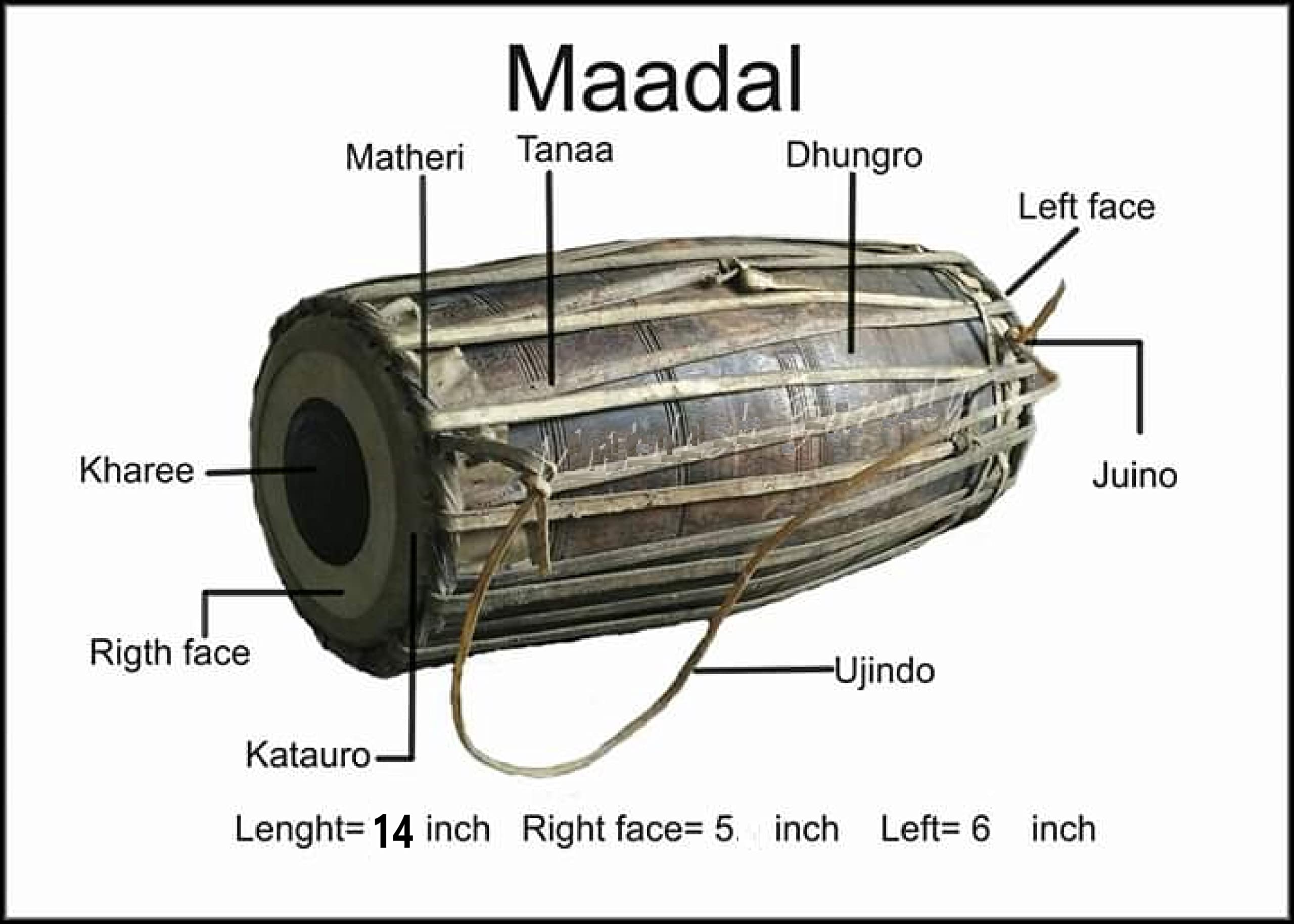 Madal Drum Wooden Nepali Folk Instrument Authentic Design Hand Carved Drum for Fun, Musical Instrument for All Age Groups of Musicians - Gift Party Supplies Birthday Party Favor