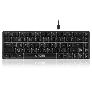 60% Gaming LED Keyboard RGB 68 Keys Layout Wired Keypad with 10 Preset Effects Mechanical Switch Feel Compatible with PC Mac Linux Xbox one PS4 PS5