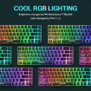 60% Gaming LED Keyboard RGB 68 Keys Layout Wired Keypad with 10 Preset Effects Mechanical Switch Feel Compatible with PC Mac Linux Xbox one PS4 PS5