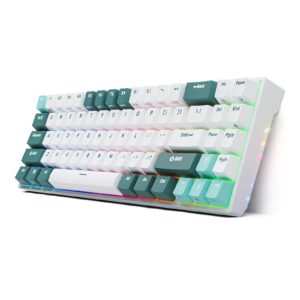 rk royal kludge 70% mechanical keyboard - rk71 wireless gaming keyboard with hot-swappable brown switches, double-shot creamy keycaps, rgb backlit, and triple-mode connectivity