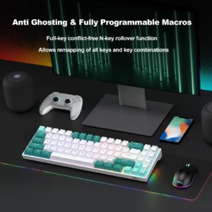 RK ROYAL KLUDGE 70% Mechanical Keyboard - RK71 Wireless Gaming Keyboard with Hot-Swappable Brown Switches, Double-Shot Creamy Keycaps, RGB Backlit, and Triple-Mode Connectivity