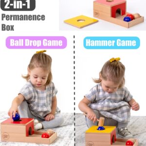 Pidoko Kids Montessori Toys for 1 Year Old - Wooden Object Permanence Box - Shape Sorter Toys for Toddlers 1-3 | Sensory, Learning & Developmental Baby Toys 12-18 Months - 1st Birthday Gifts Boy Girl