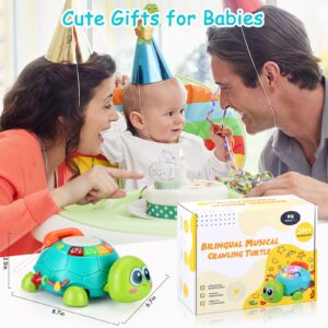 Bilingual Musical Turtle Baby Toys 6 to 12 Months, Development Toy for 6 7 8 9 Month Old Boy Girl, 8-in-1 Educational Crawling Infant Toy w/Light Music, Christmas Easter Gift for 3 4 5 6-12 18 Month