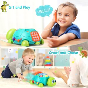 Bilingual Musical Turtle Baby Toys 6 to 12 Months, Development Toy for 6 7 8 9 Month Old Boy Girl, 8-in-1 Educational Crawling Infant Toy w/Light Music, Christmas Easter Gift for 3 4 5 6-12 18 Month