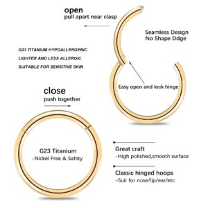 BOGKU 8pcs Titanium Nose Ring Hoops, 20 Gauge Hinged Nose Rings 7mm Septum Clicker, Cartilage Conch Helix Rook Hoop Earrings (20 Gauge 7mm)