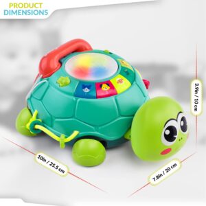 Boxgear Musical Turtle Toy - Baby Crawling Toys for Babies 18+ Months - Learning with Sound, Music, Lights, Phone, Letters, Numbers - for Motor Skills, Cognitive Development, Hand-Eye Coordination