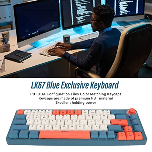 Gaming Keyboard, Multifunctional LK67 USB C Wired 67 Keys Mechanical Keyboard Comfortable Touch Blue for Work for Gaming (Silver Switch)