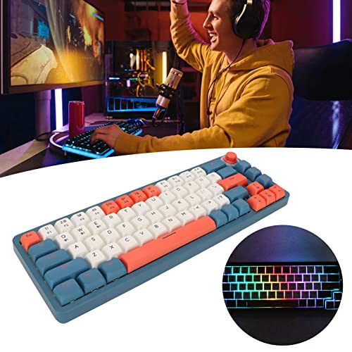 Gaming Keyboard, Multifunctional LK67 USB C Wired 67 Keys Mechanical Keyboard Comfortable Touch Blue for Work for Gaming (Silver Switch)