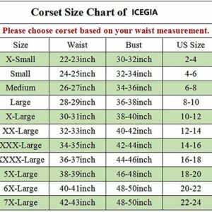 ICEGIA Women Renaissance Underbust Corset Mesh Lace Corset Waist Cincher Oil Painting Bustier