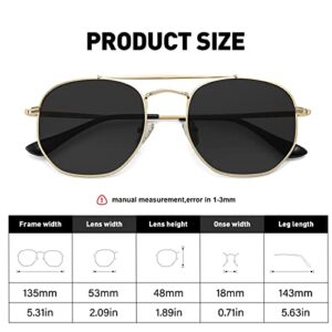 Fozono Hexagon Polarized Sunglasses for Women Men Double Bridge Polygon Retro Sunglasses(Gold/Grey)