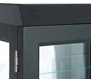 Displays2go 21" Countertop/Wall Mount Display Case, Adjustable Shelves, Locking - Black (DCC2128BK2)