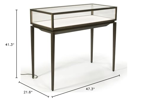 Displays2go Locking Display Table w/Rear Drawer, Stainless Steel Frame, LED Lights - Bronze (FSCSTLF7)